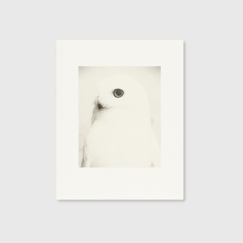 Photobookstore.co.uk