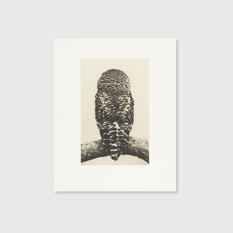 Photobookstore.co.uk