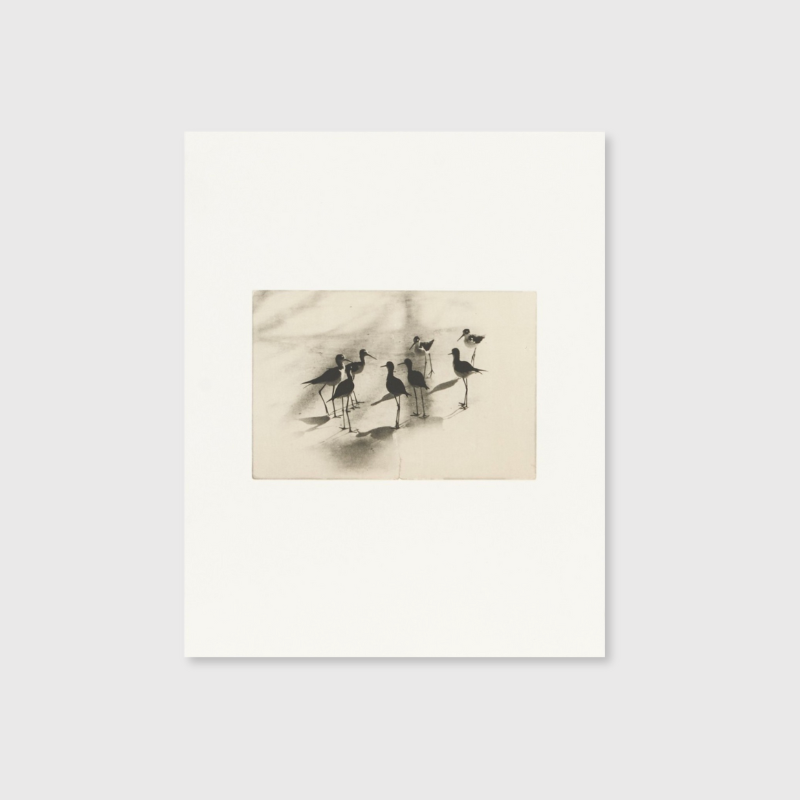 Photobookstore.co.uk