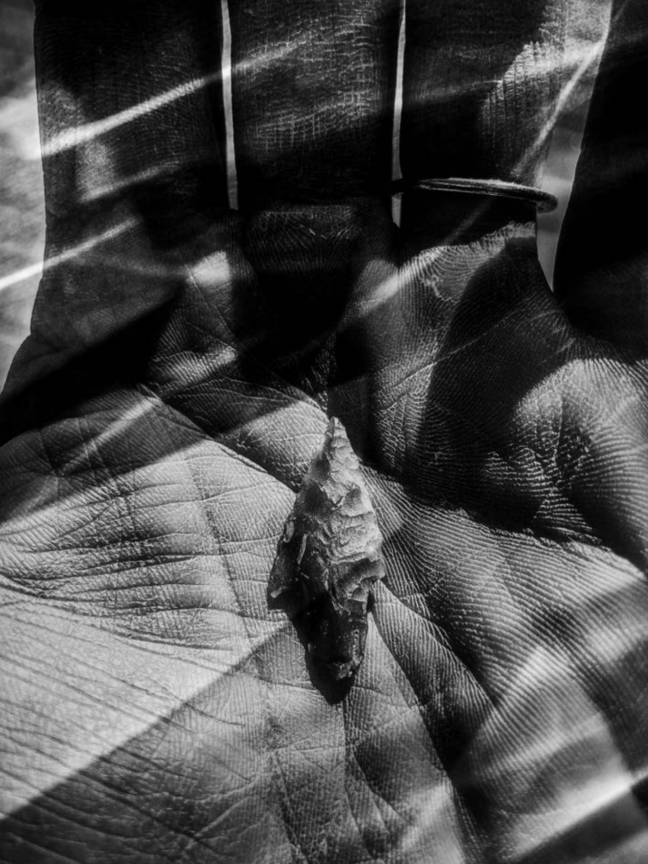 Photobookstore.co.uk