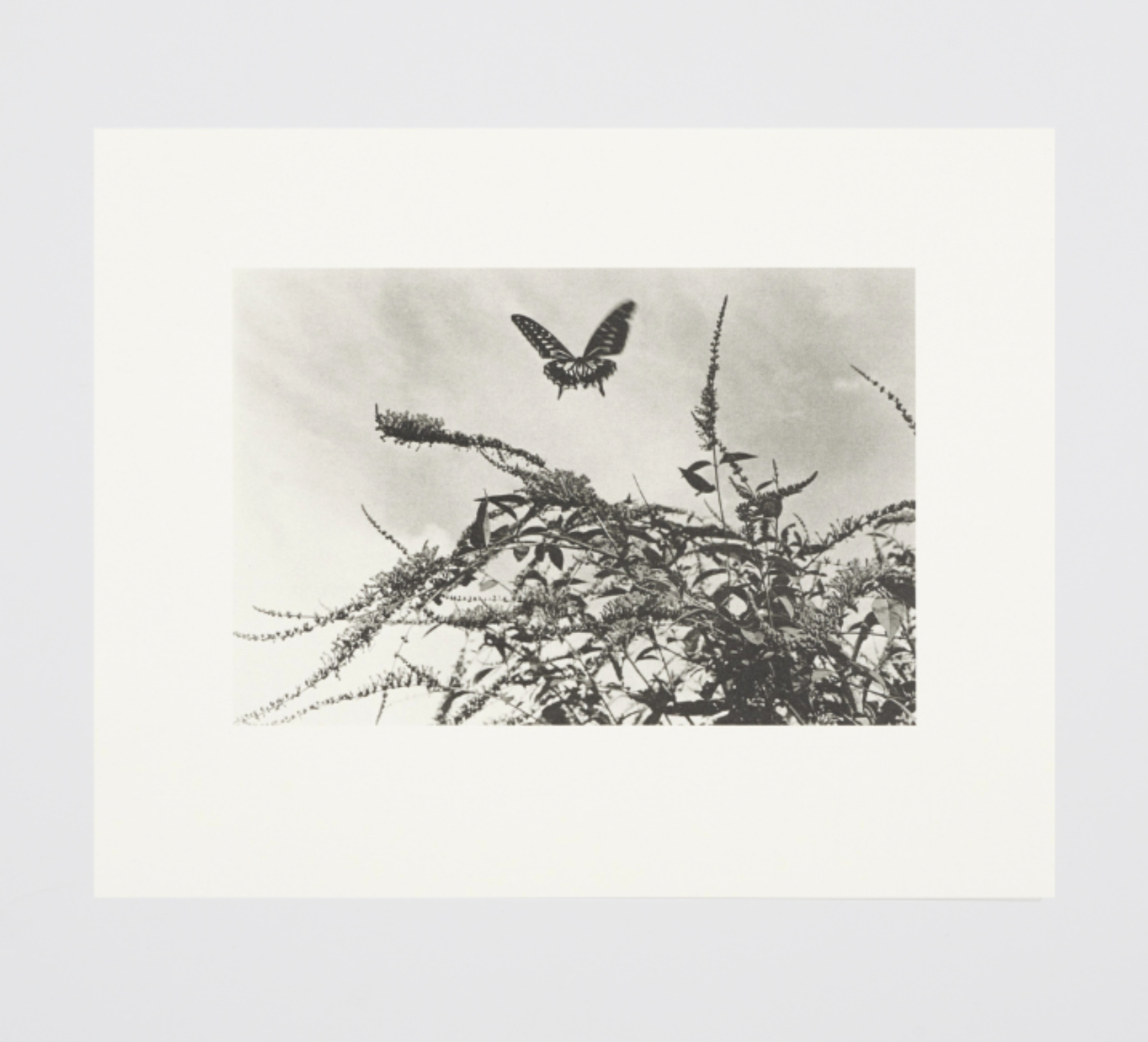 Photobookstore.co.uk