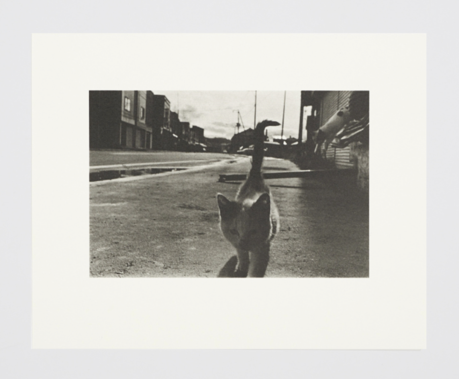 Photobookstore.co.uk