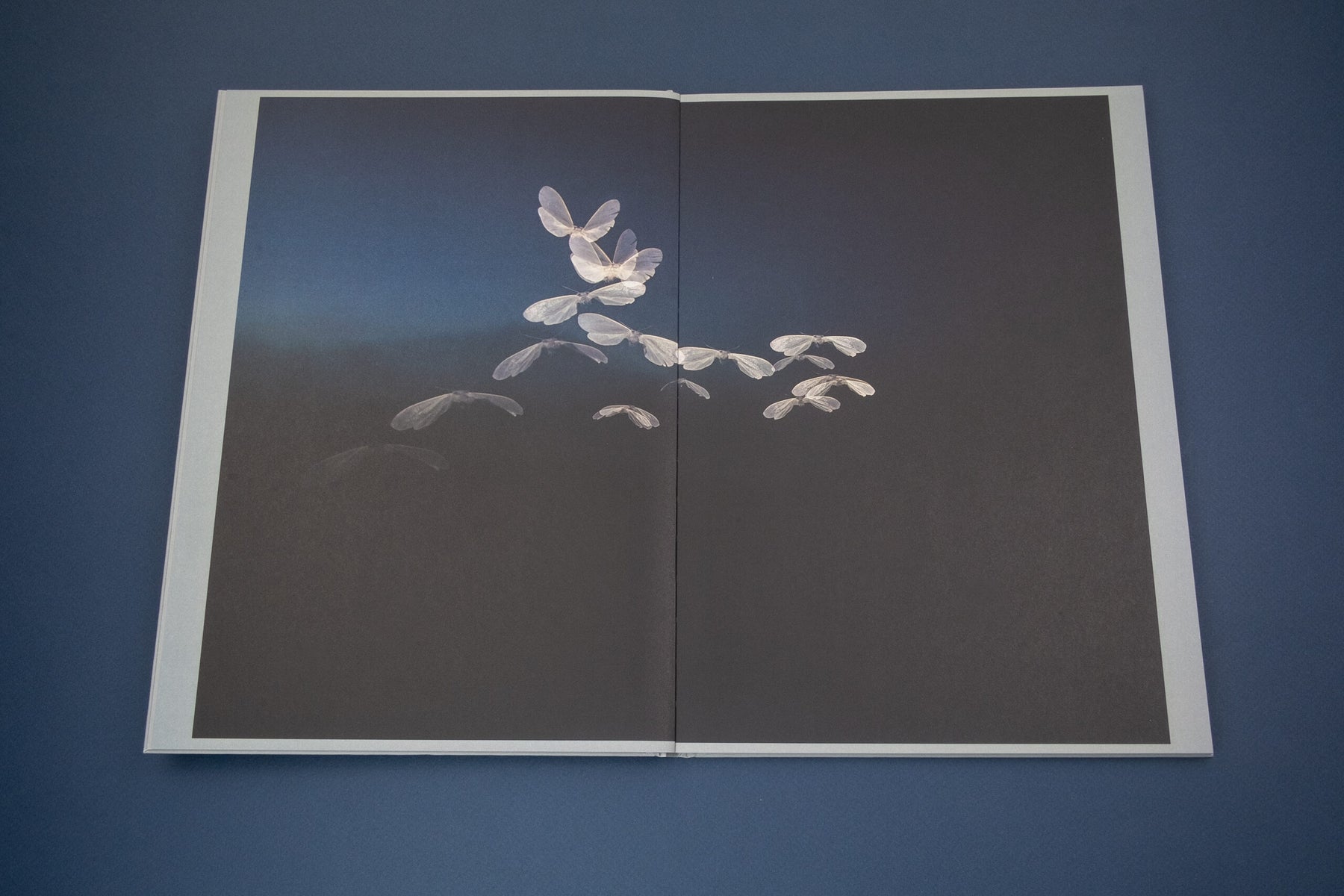 Photobookstore.co.uk