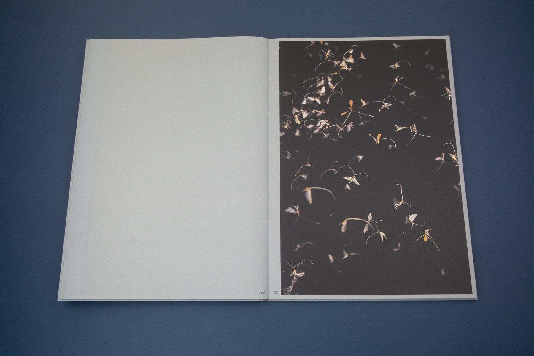 Photobookstore.co.uk