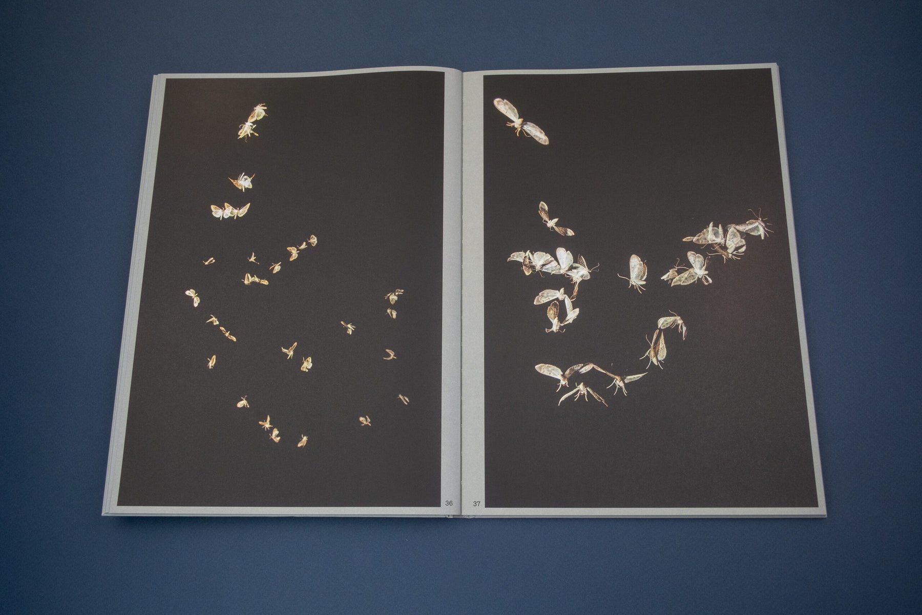 Photobookstore.co.uk