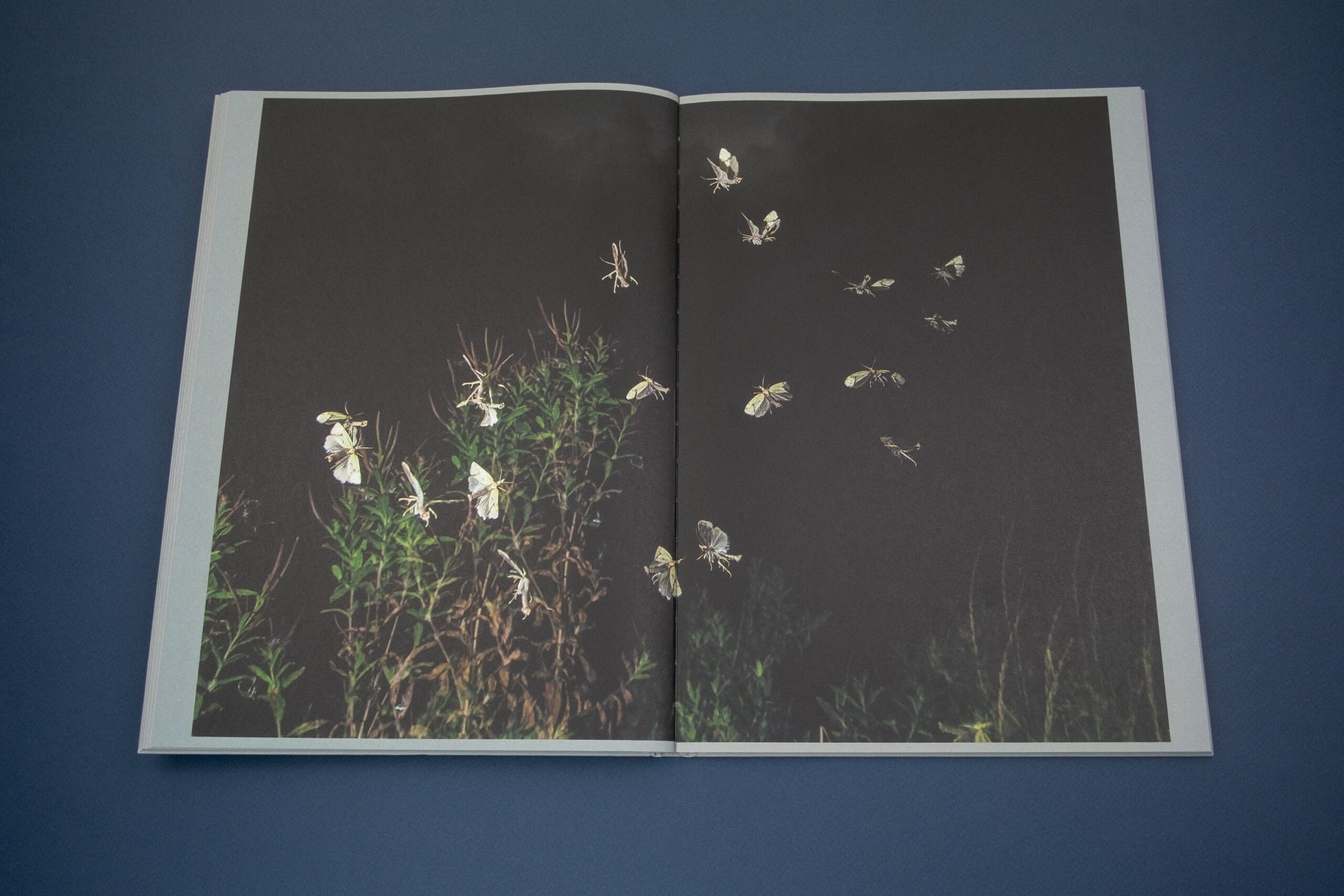 Photobookstore.co.uk