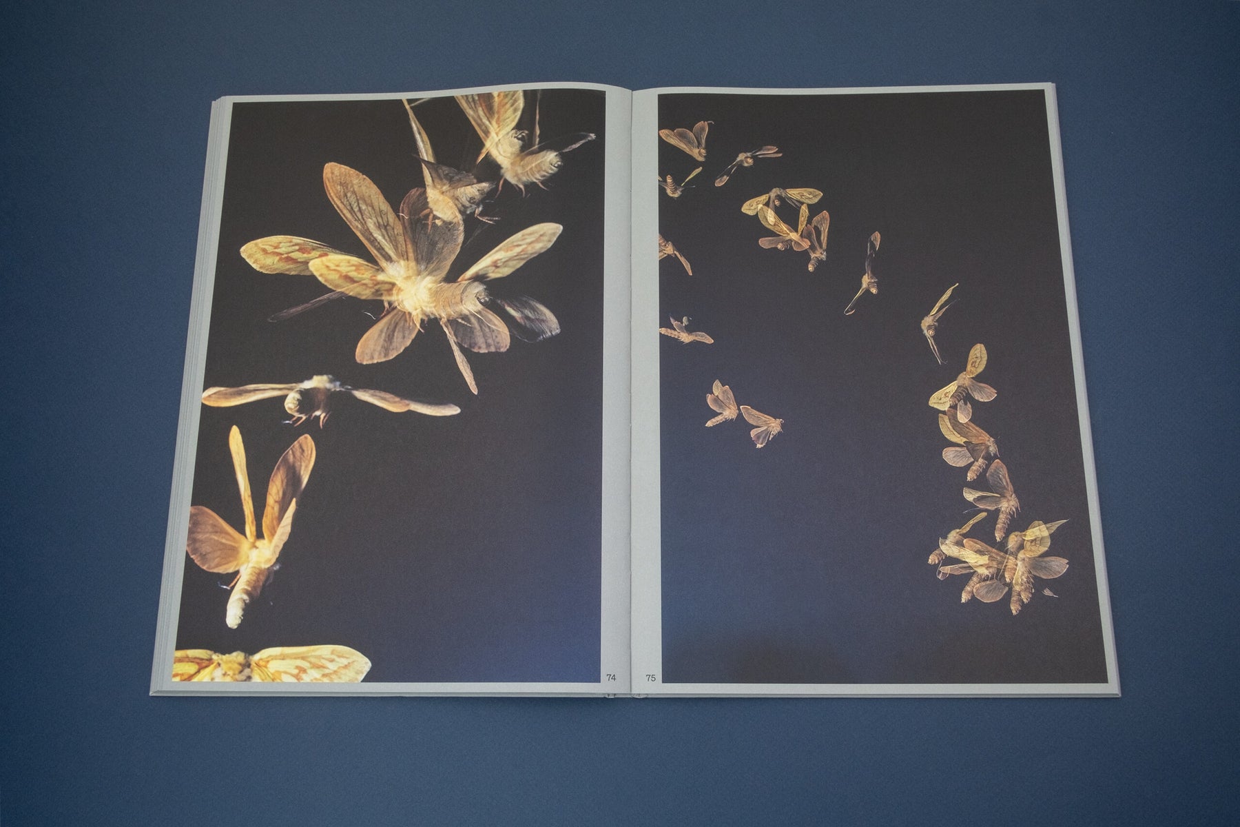 Photobookstore.co.uk