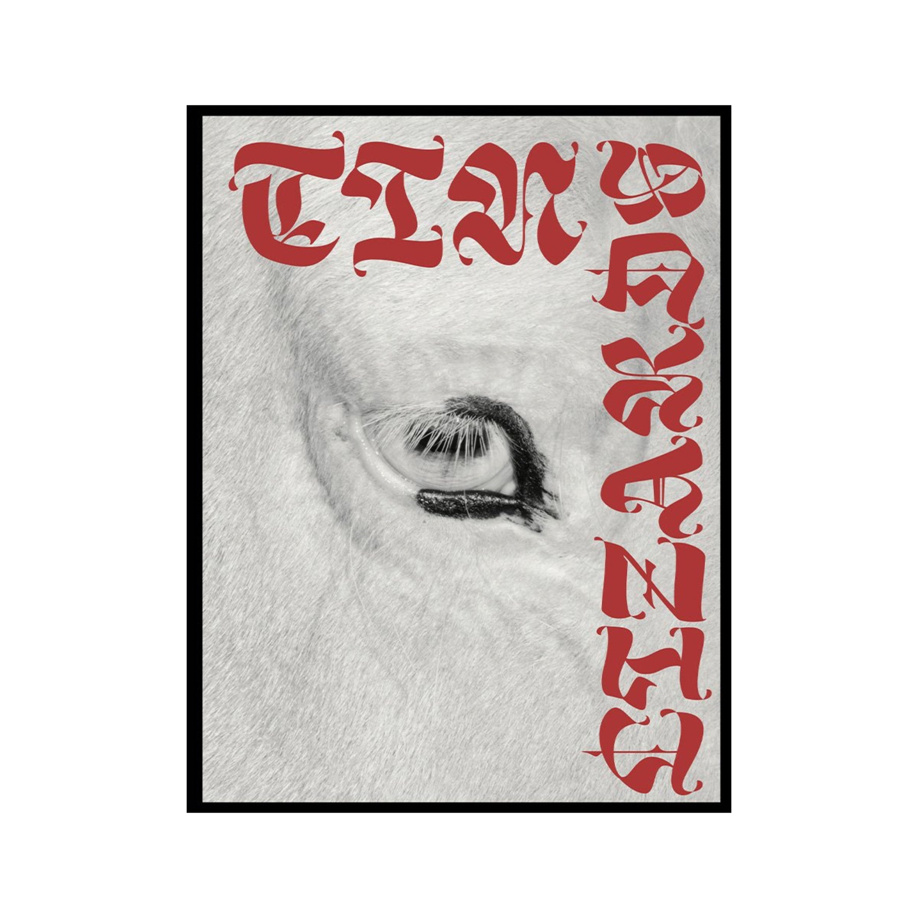 Tin Lizards – Photobookstore
